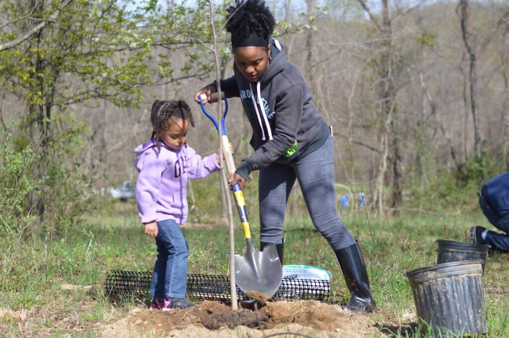 Landscaping | Design Custom Homes of Madison